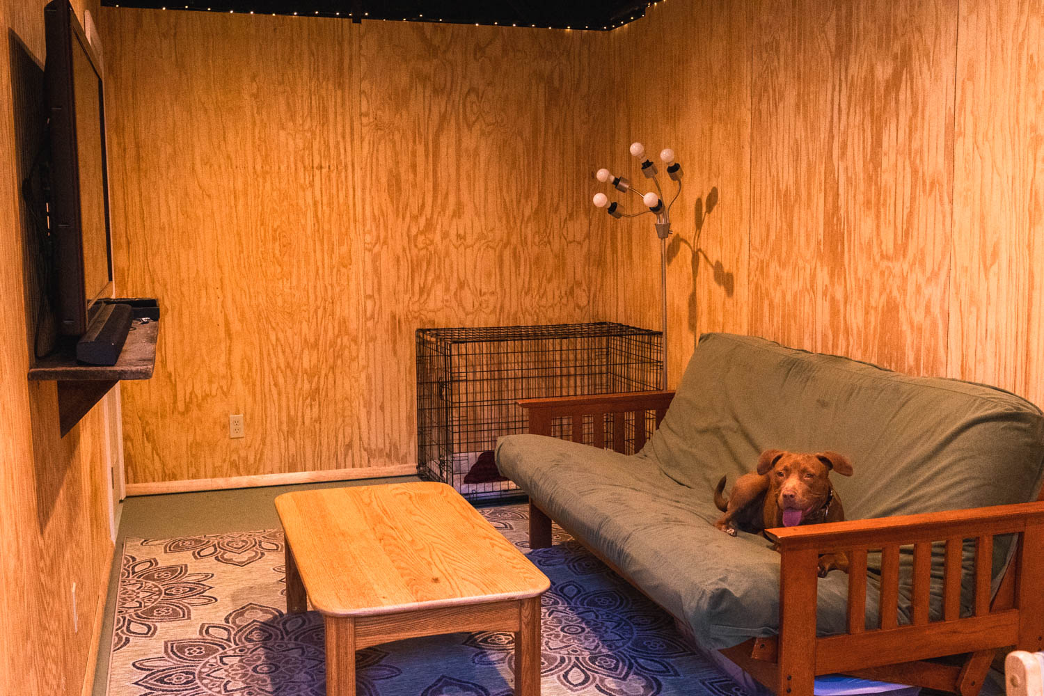 For Dogs – Shenandoah Dog Friendly Rentals
